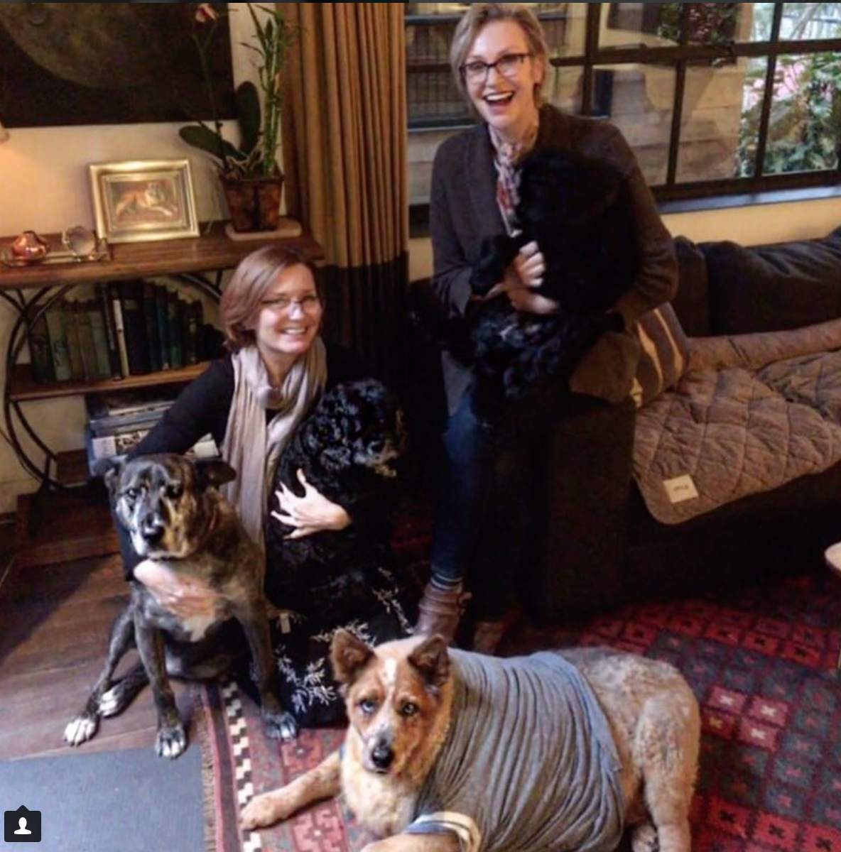 ALL ABOUT ARBUCKLE / PART 1 - Lemon Zesty